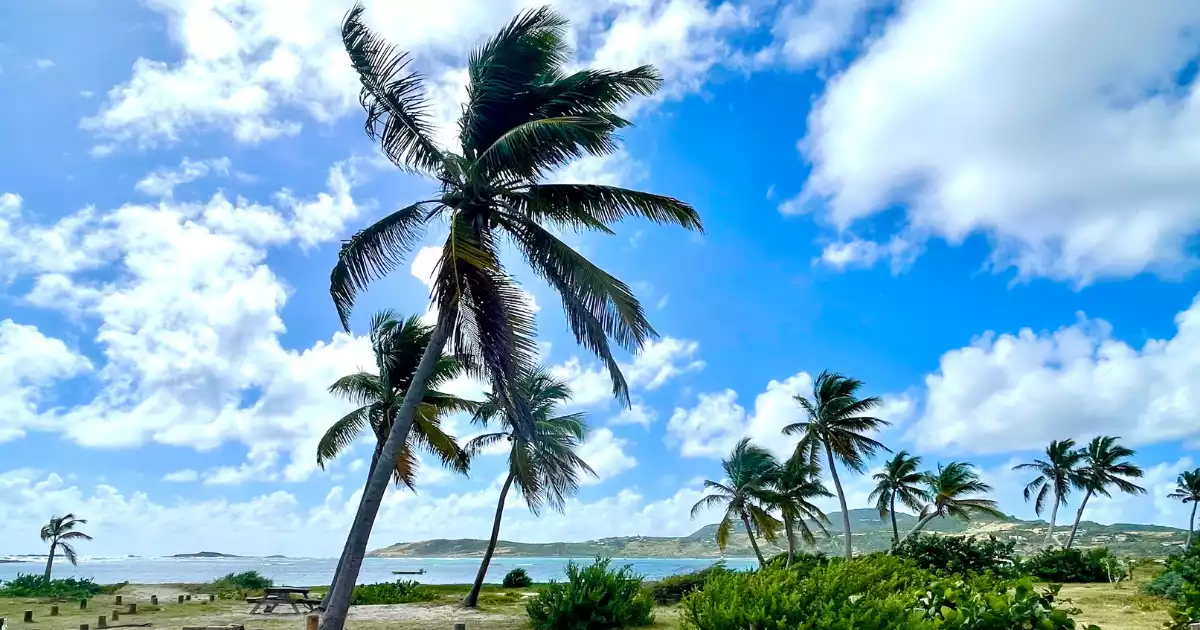 Discover Top Caribbean SXM Activities: Your Island Guide